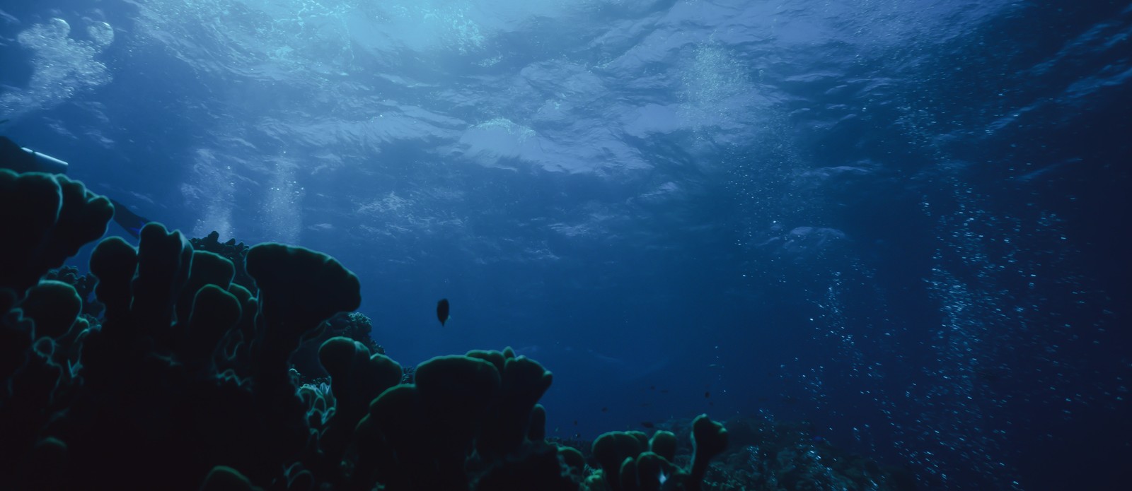 The Coral Sea lies east of which country?