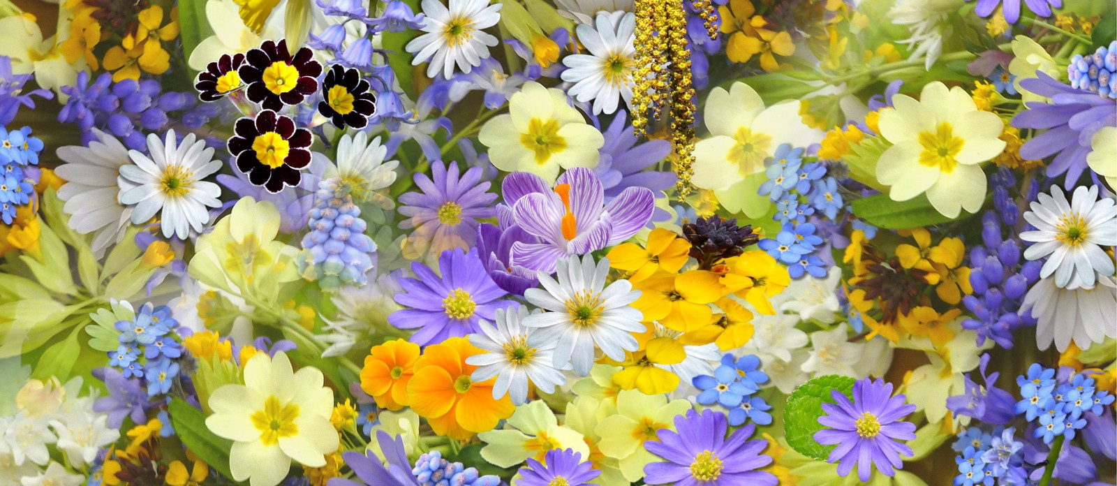 In a typical flower, what color are the sepals?