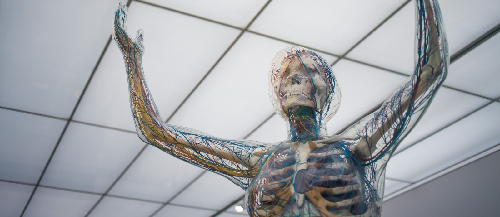 Ridges on which part of the body can be used for identification?