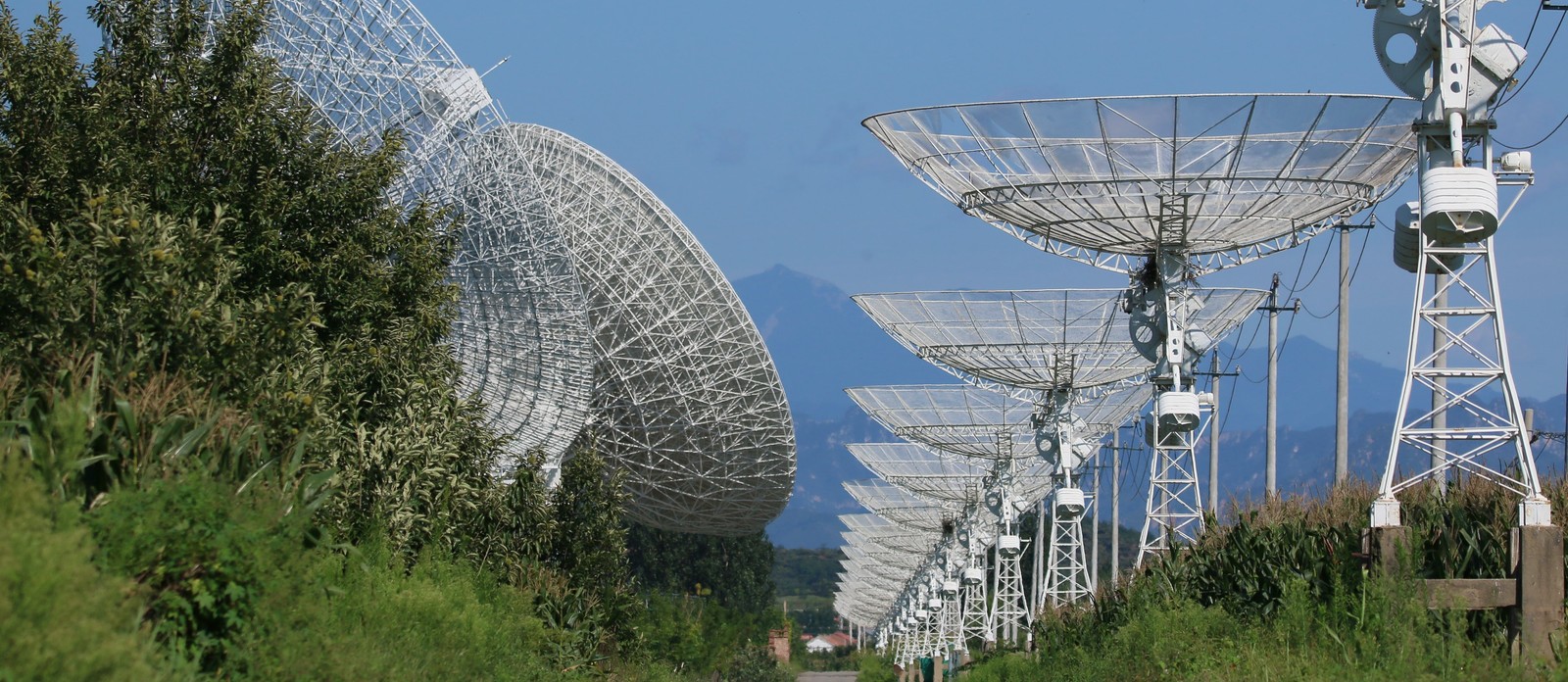 What unit is used to measure the frequency of radio waves?